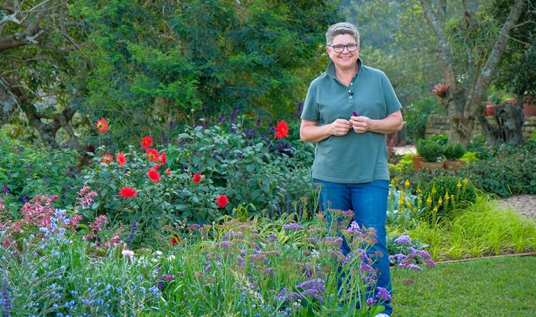 The Home Channel - DStV Channel 176